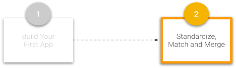 Standardize, Match and Merge